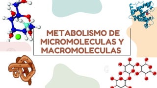 metabolismo de macro y micromoleculas.pdf
