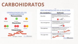 metabolismo de macro y micromoleculas.pdf