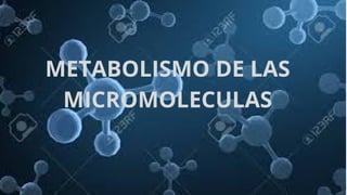 metabolismo de macro y micromoleculas.pdf