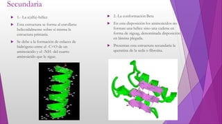 Metabolismo de proteínas | PPTX