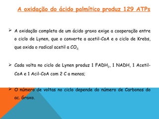 Bioquimica Basica Metabolismo dos lipidios | PPT