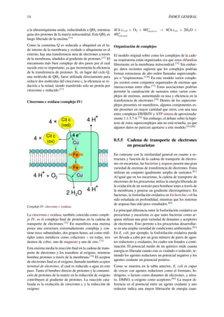 Metabolismo energético. | PDF