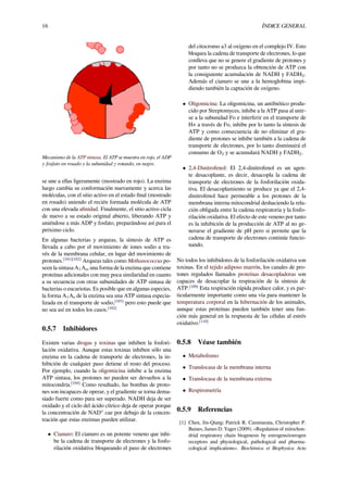 Metabolismo energético. | PDF