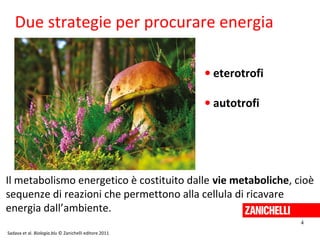 Metabolismoenergia | PPT