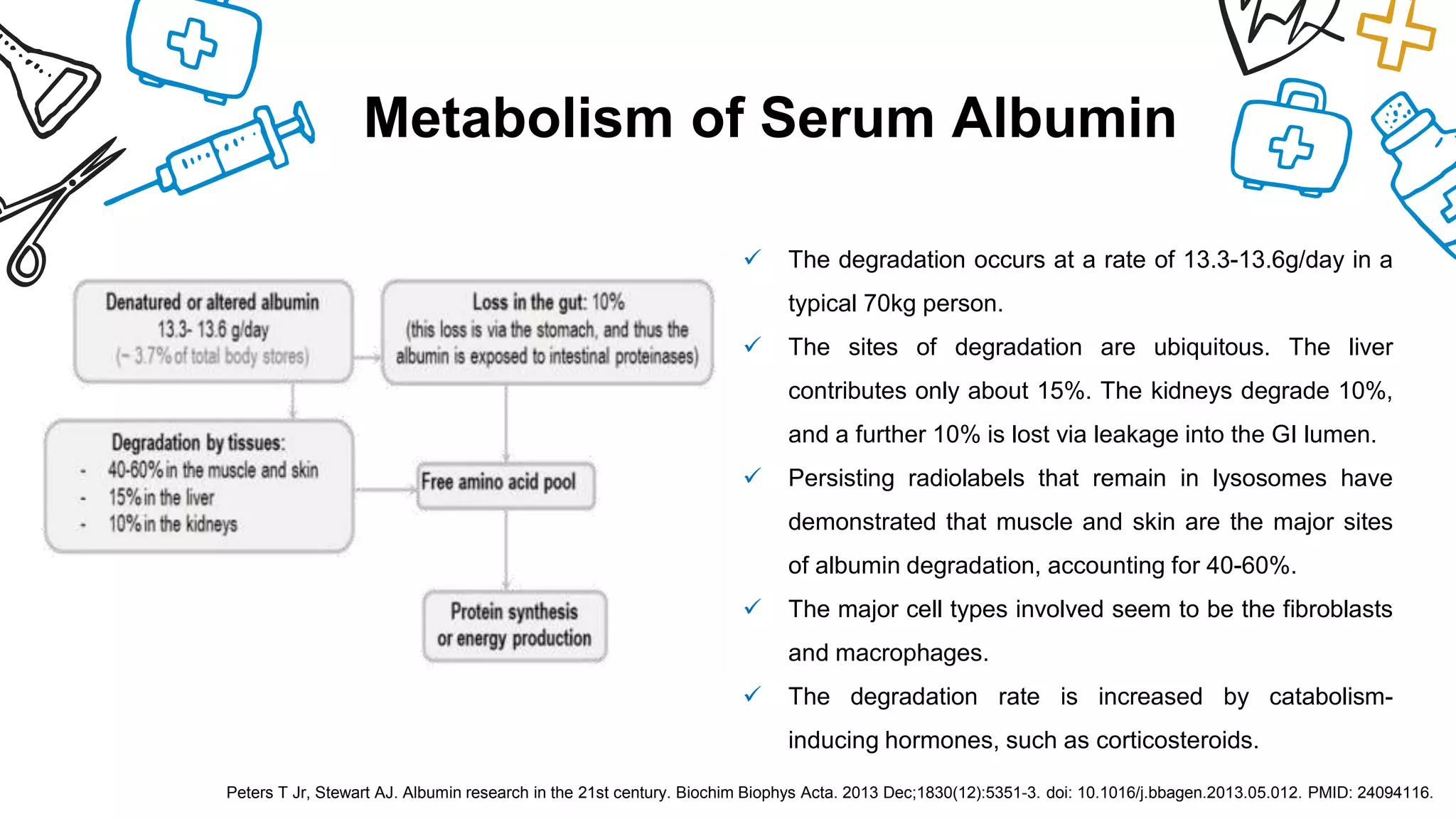 Metabolism of Albumin.pptx