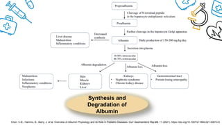 Metabolism of Albumin.pptx