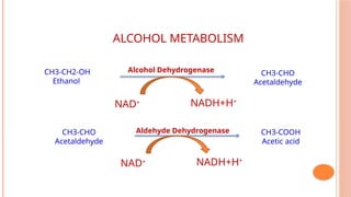 METABOLISM OF ALCOHOL AND REGULATIONS.pptx