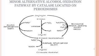 METABOLISM OF ALCOHOL and clinical significancy(2).pptx | Alcoholic ...