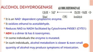 METABOLISM OF ALCOHOL and clinical significancy(2).pptx | Alcoholic ...