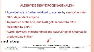 METABOLISM OF ALCOHOL and clinical significancy(2).pptx