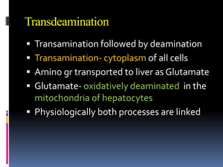 Metabolism of amino acids overview and nitrogen handling | PPT