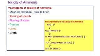 Metabolism of ammonia | PDF
