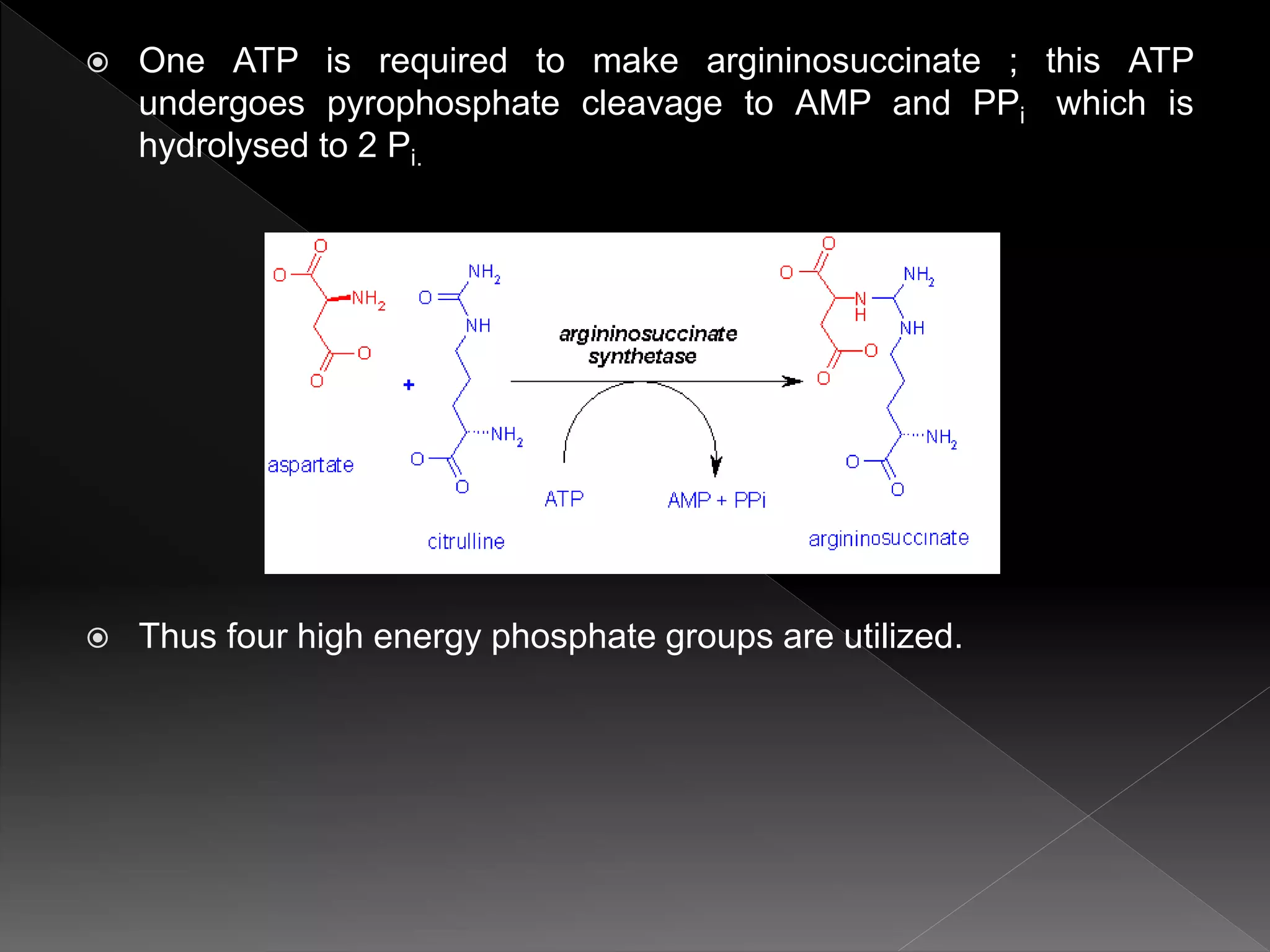 Urea cycle:Metabolism of ammonia | PPT