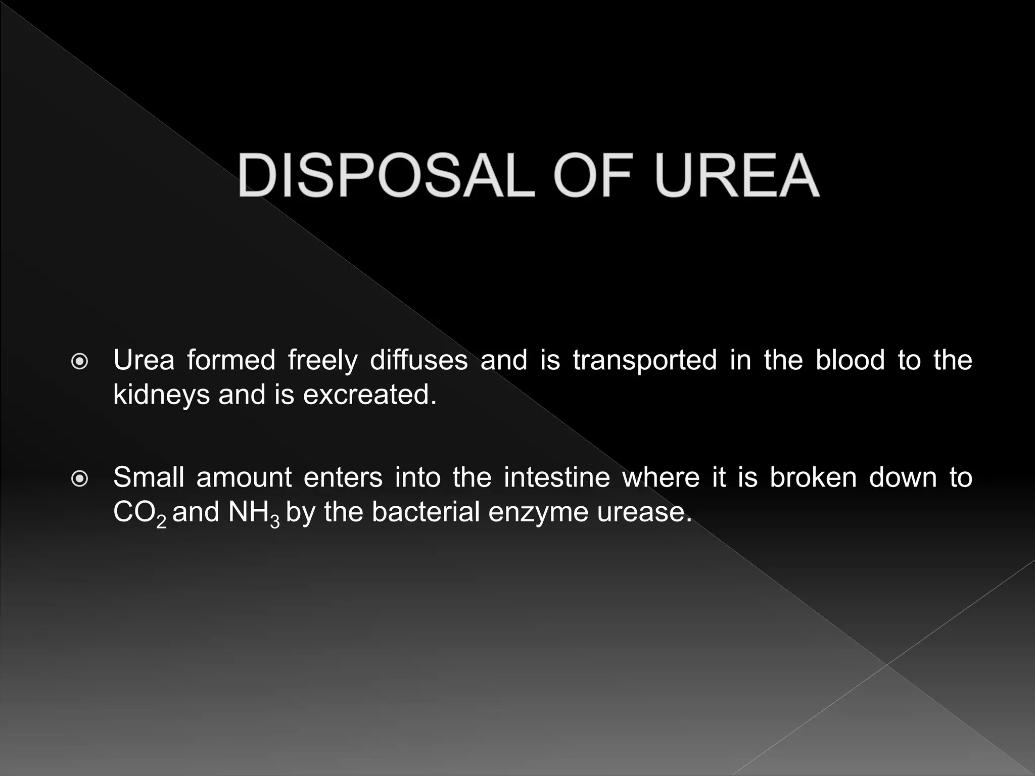 Urea cycle:Metabolism of ammonia | PPTX