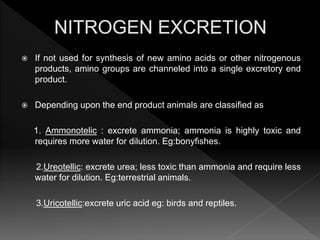 Urea cycle:Metabolism of ammonia | PPT