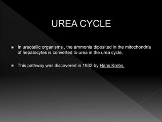 Urea cycle:Metabolism of ammonia | PPT