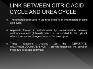 Urea cycle:Metabolism of ammonia | PPT