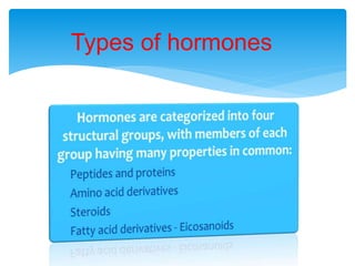 Metabolism of androgens | PPTX | Hormonal Disorders | Endocrine and ...