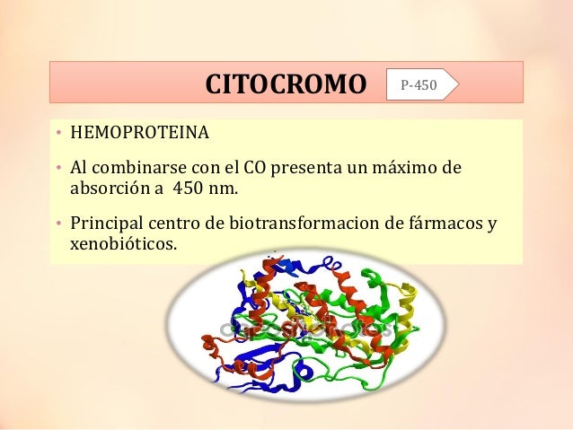 Metabolismo farmacologia