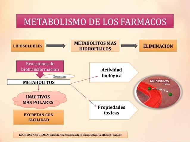 Metabolismo Farmacologia