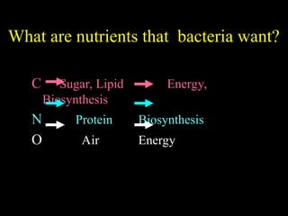 Metabolism of Bacteria for undergrad.ppt