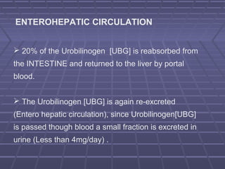 Metabolism of bilurubin | PPT