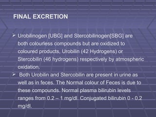 Metabolism of bilurubin | PPT