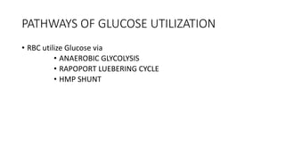 METABOLISM OF BLOOD CELLS in humans.pptx