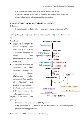 Basic notes of Metabolism of Carbohydrates-1.docx