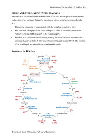 Basic notes of Metabolism of Carbohydrates-1.docx