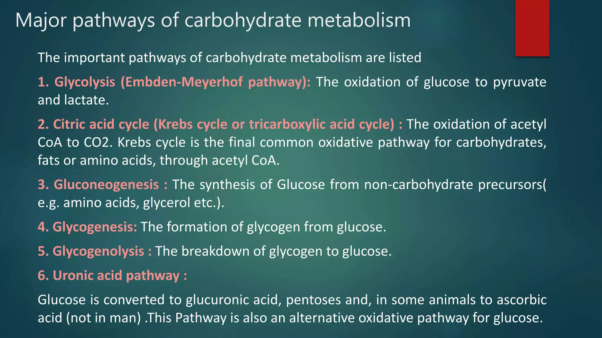 Metabolism of carbohydrates | PPTX