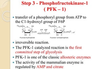 metabolismofcarbohydrates-191219112042 2.pdf