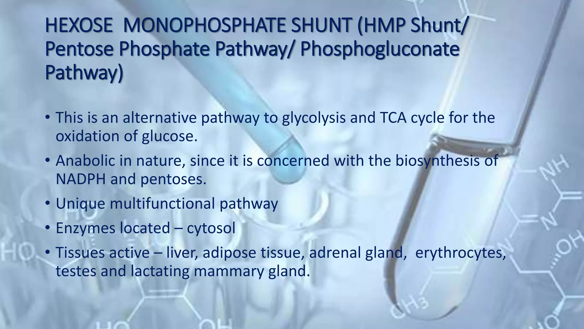 Metabolism of carbohydrates | PPTX