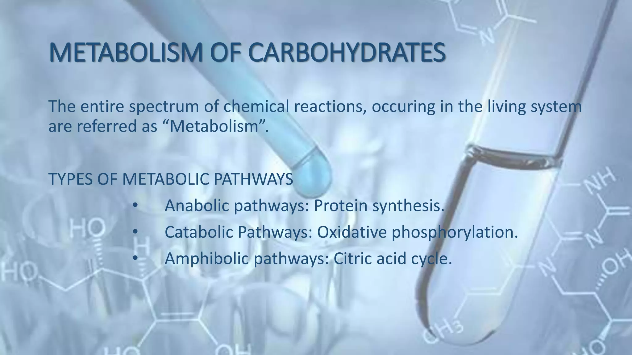 Metabolism of carbohydrates | PPTX