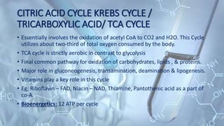 Metabolism of carbohydrates | PPTX