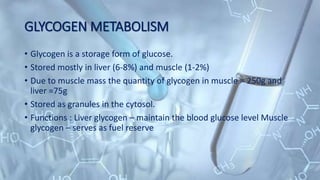 Metabolism of carbohydrates | PPTX