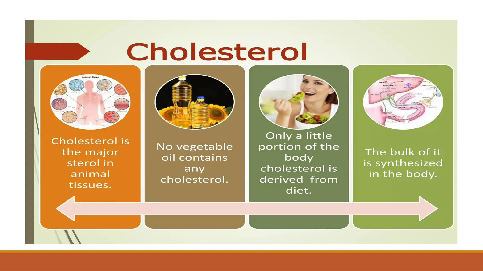 METABOLISM OF CHOLESTEROL...pptx 24.pptx