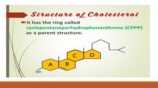 METABOLISM OF CHOLESTEROL...pptx 24.pptx