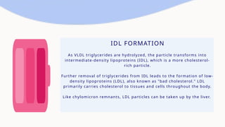 METABOLISM OF CHYLOMICRONS AND VLDL.pptx | Chemistry | Science