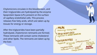 METABOLISM OF CHYLOMICRONS AND VLDL.pptx