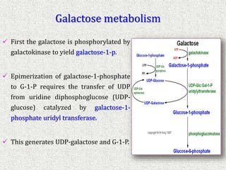 Metabolism_of_disaccharides.ppt