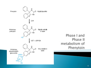 Metabolism of drug | PPTX