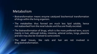 Metabolism of drugs Pharmacokinetics | PDF
