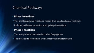 Metabolism of drugs Pharmacokinetics | PDF
