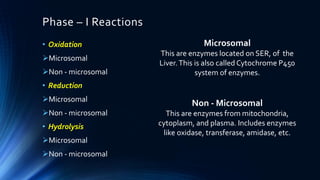 Metabolism of drugs Pharmacokinetics | PDF
