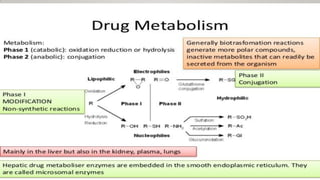 Metabolism of drugs | PDF