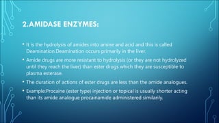 Metabolism of drugs | PDF