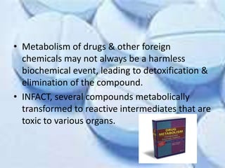 Metabolism of drugs to toxic products | PPTX | Endocrine and Metabolic ...