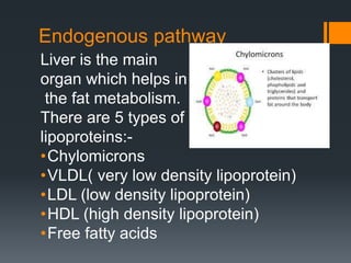 Metabolism of fat | PPTX