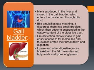 Metabolism of fat | PPTX